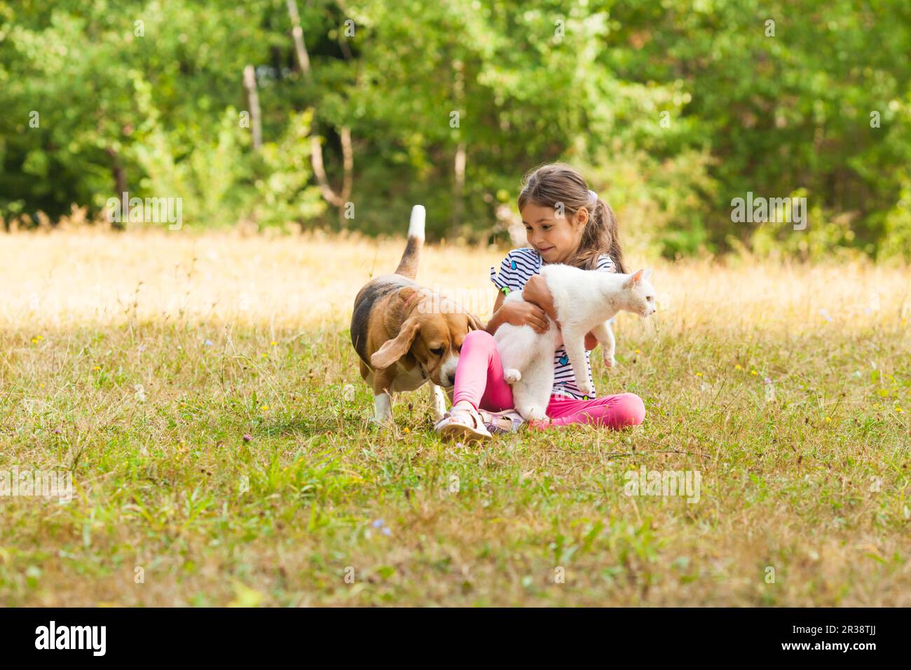 Pretty girl introducing her new pets together Stock Photo - Alamy