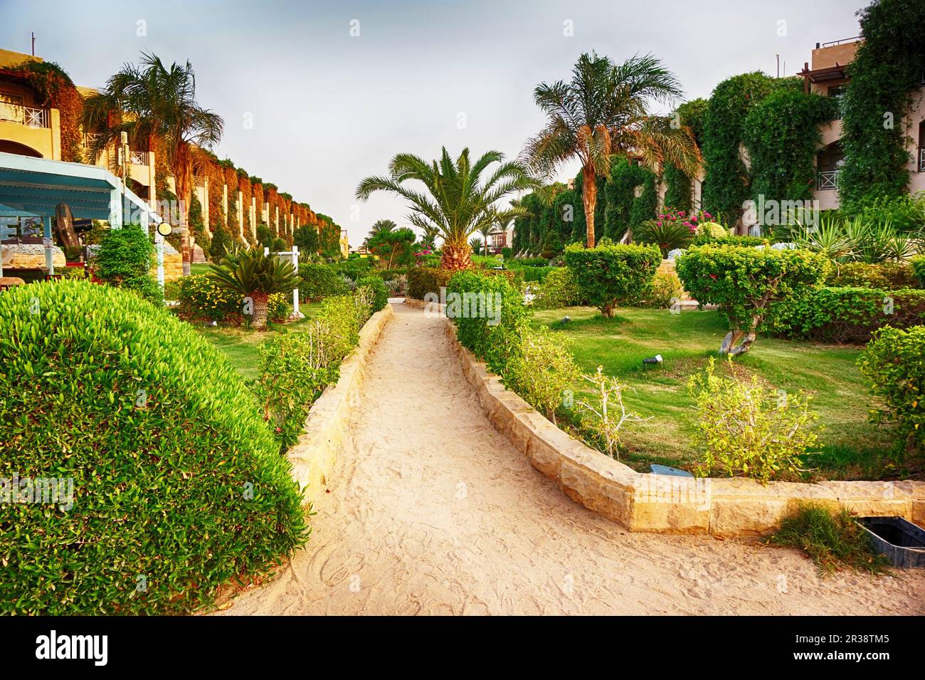 green hotel garden in Egypt as nice background Stock Photo - Alamy