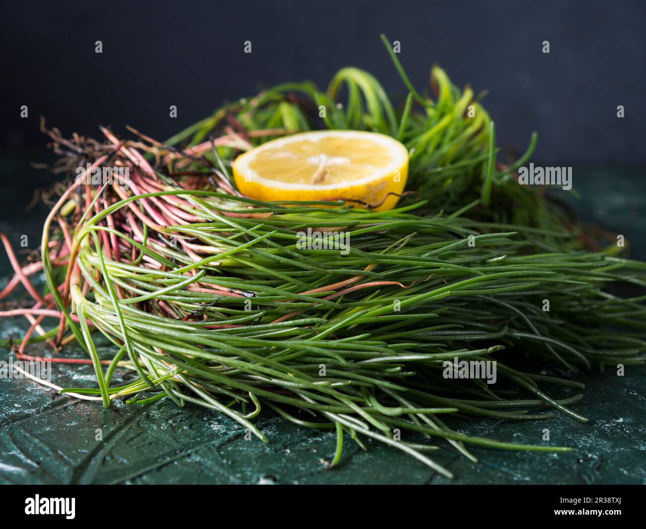 Italian agretti herb (barba di frate) on dark background with half ...