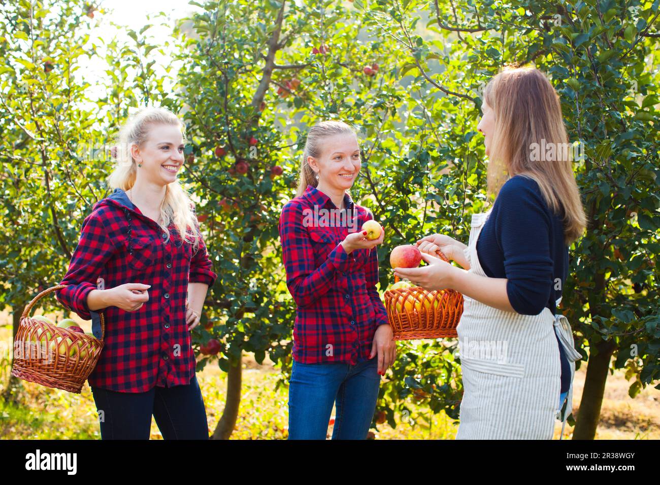 Farm market background hi-res stock photography and images - Alamy