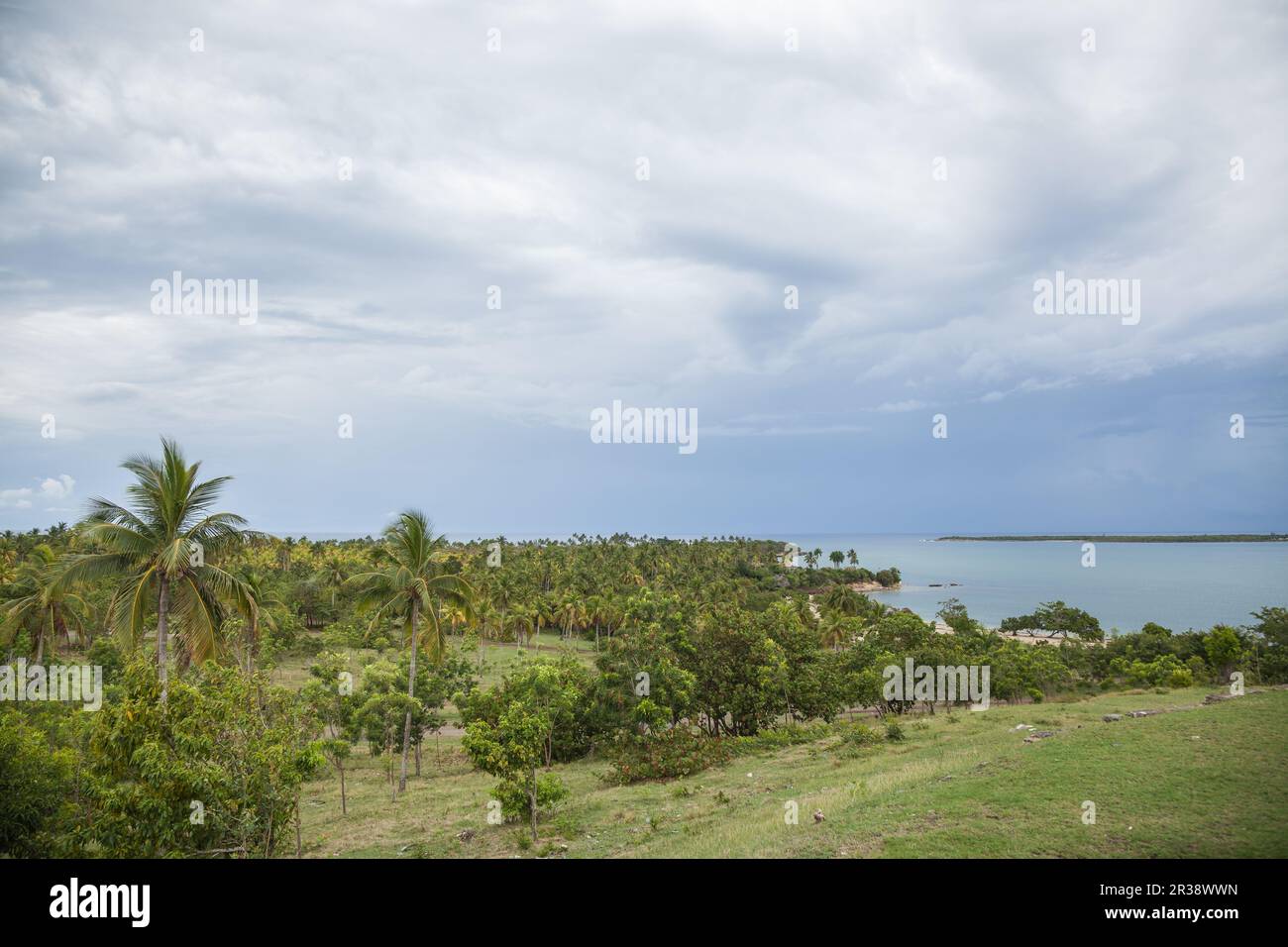 Cuba palm trees hi-res stock photography and images - Alamy