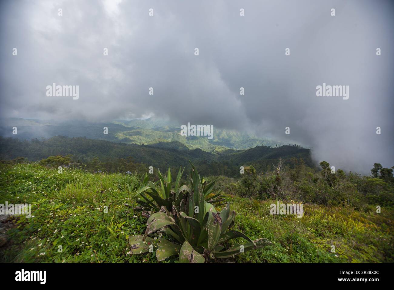 Warm caribbean landscape hi-res stock photography and images - Alamy