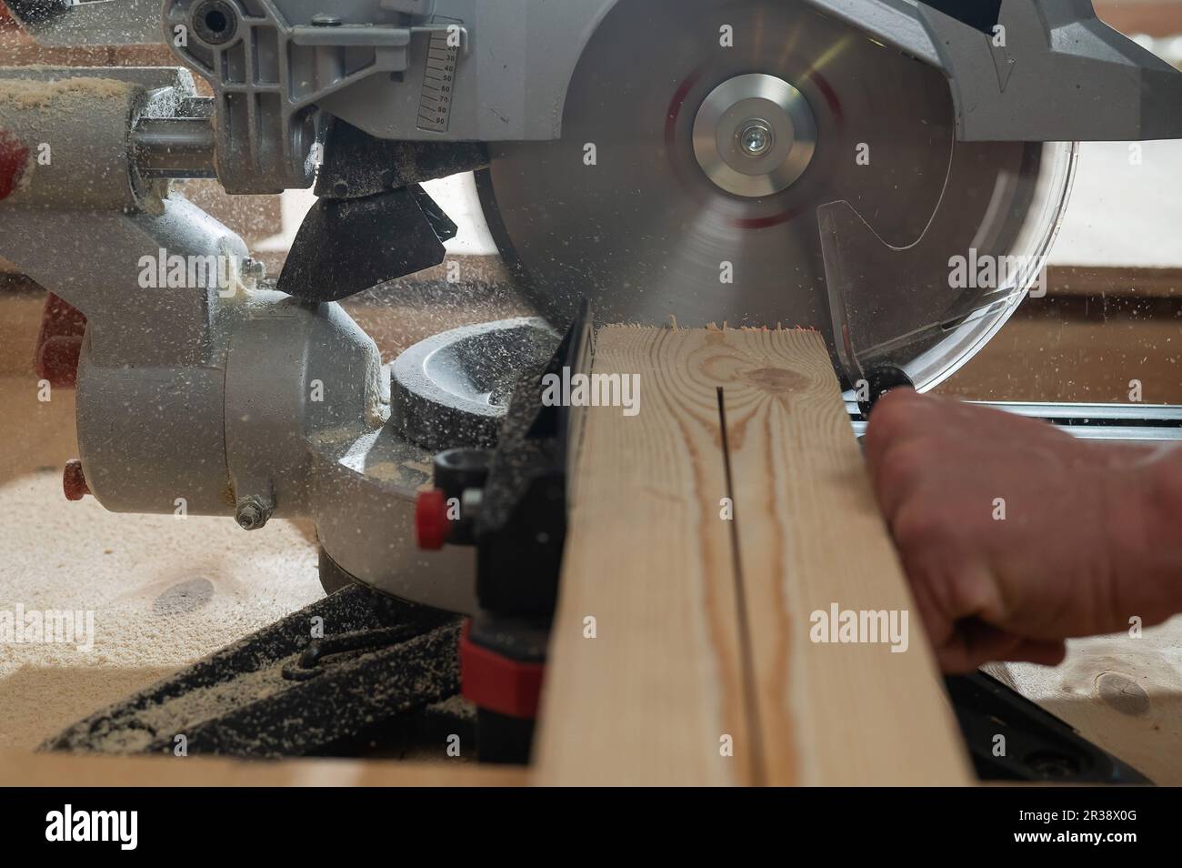 Master cuts the board with a circular saw in the workshop Stock Photo ...