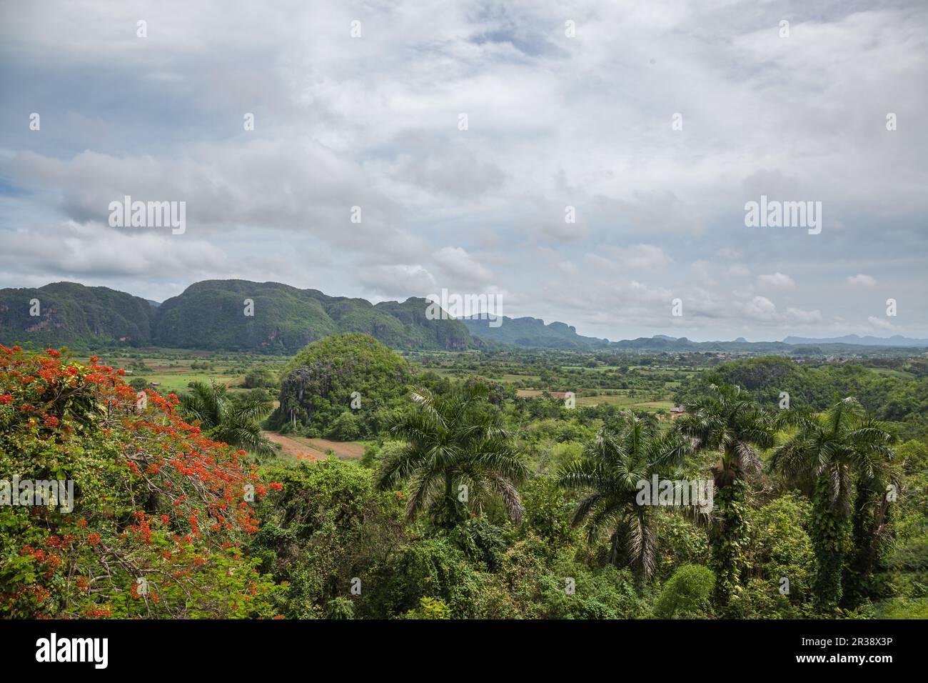 Caribbean landscape hi-res stock photography and images - Alamy