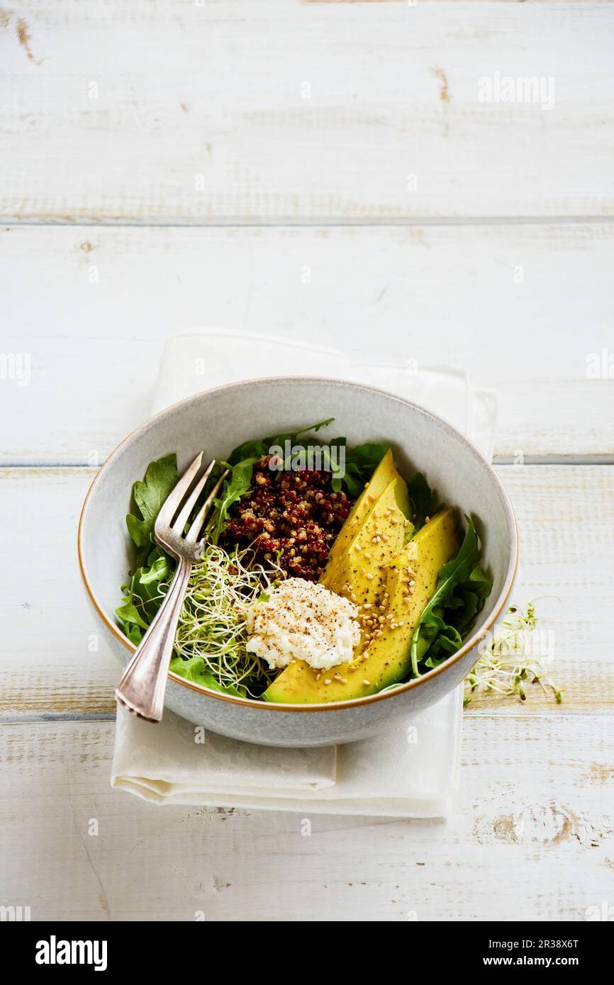 A lunch bowl with quinoa, avocado, ricotta, rocket and beansprouts ...