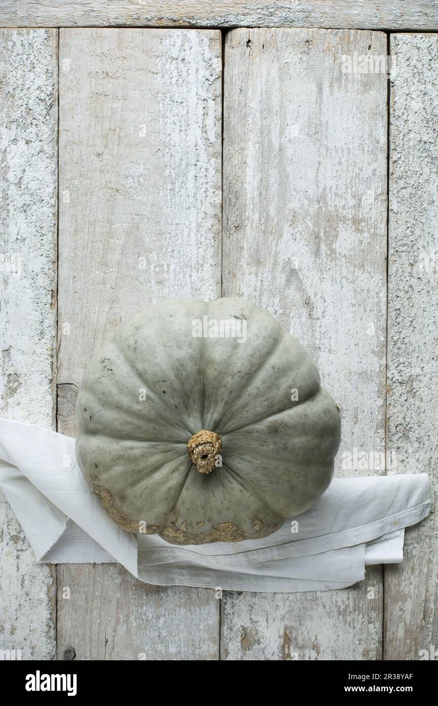 Crown prince pumpkin hi-res stock photography and images - Alamy