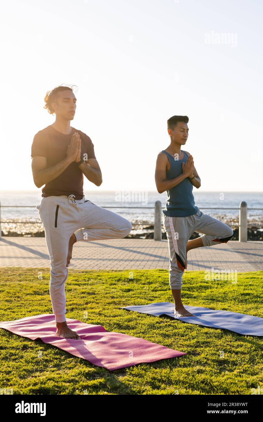 Happy biracial gay male couple practicing yoga and meditating on sunny ...
