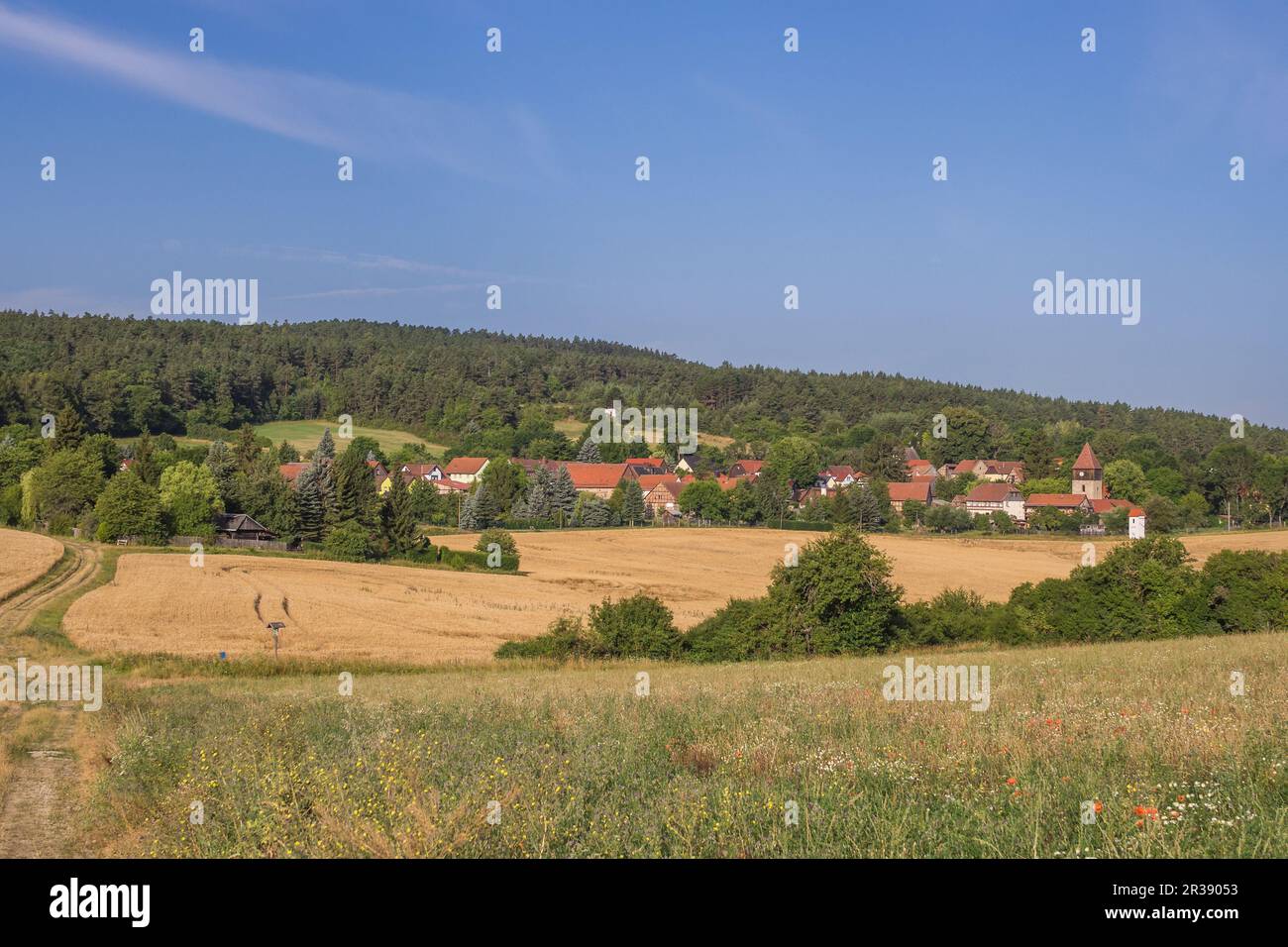 Small fields of wheat hi-res stock photography and images - Alamy