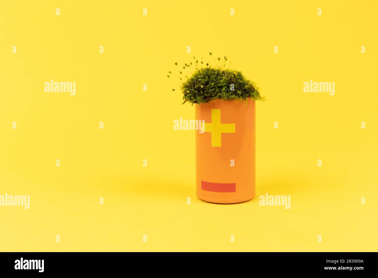 Cell Battery covered in fresh green moss, green energy Stock Photo - Alamy