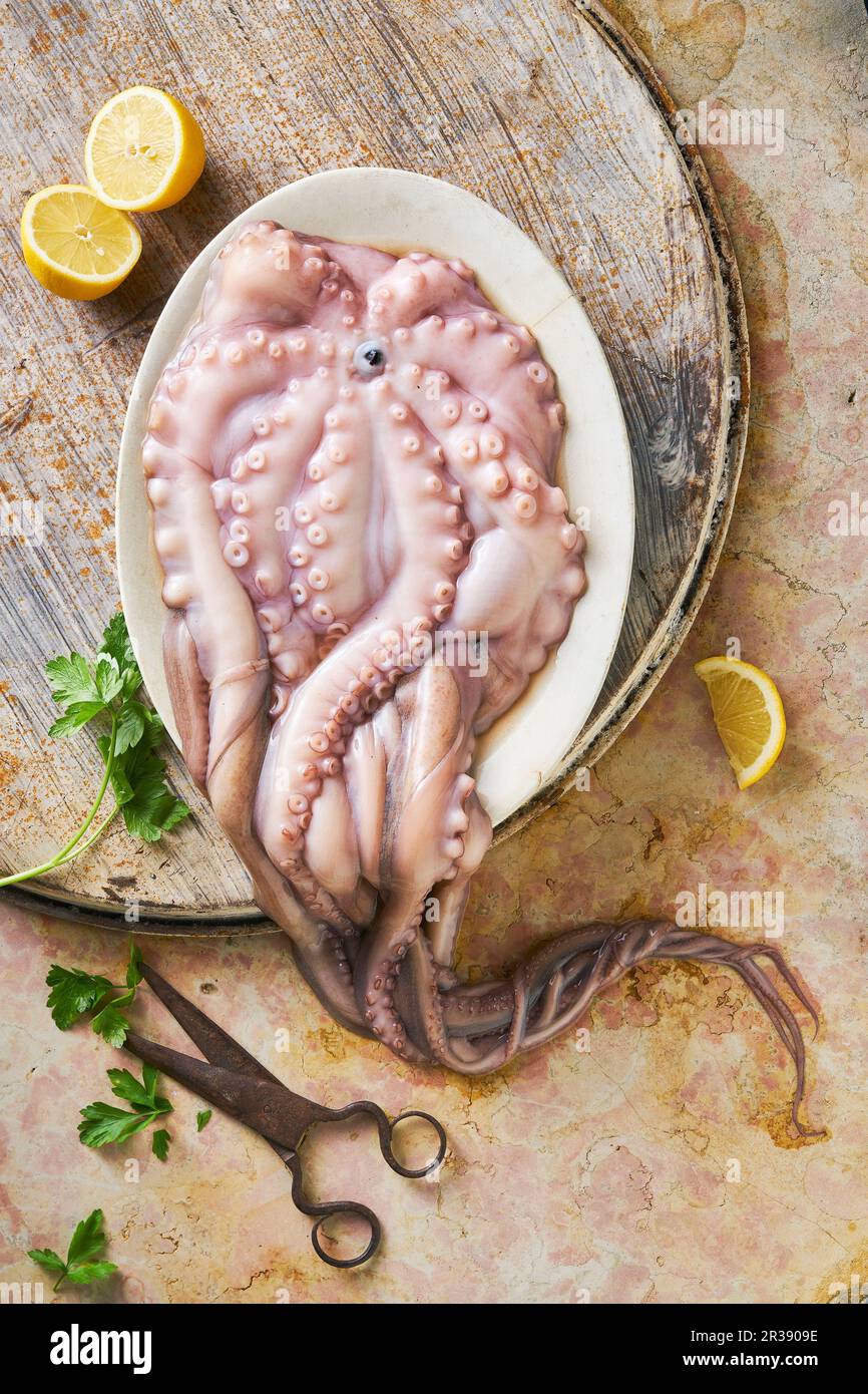 Vintage still life fresh fish hi-res stock photography and images - Alamy