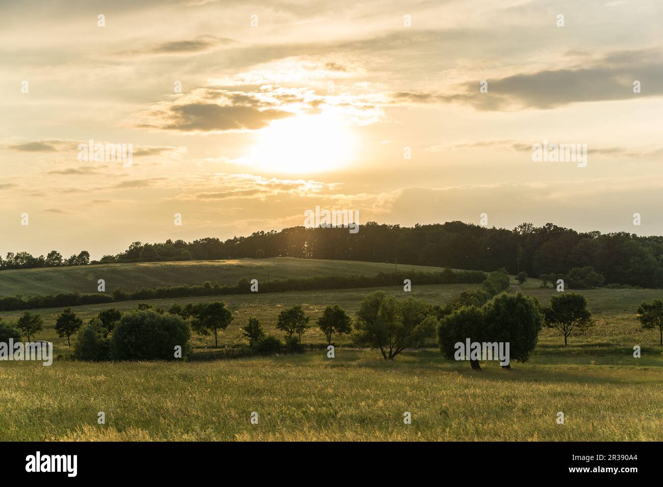 Landscape in the summer Stock Photo - Alamy