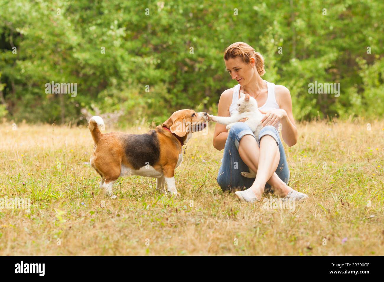Owner pets hi-res stock photography and images - Alamy