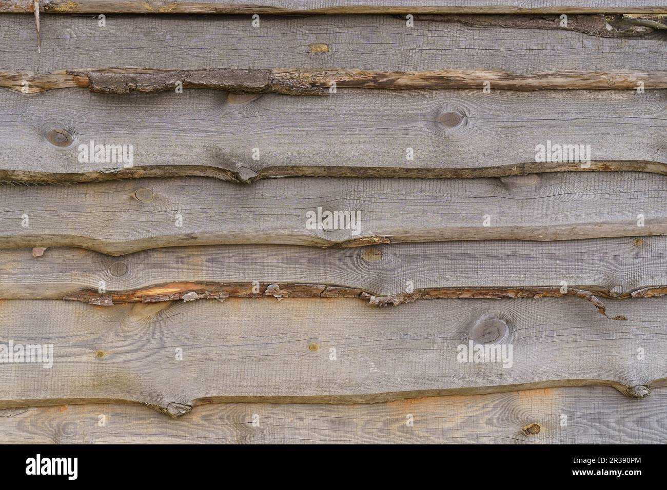 A wall of unhewn boards, built in fly-fishing. wooden background Stock ...