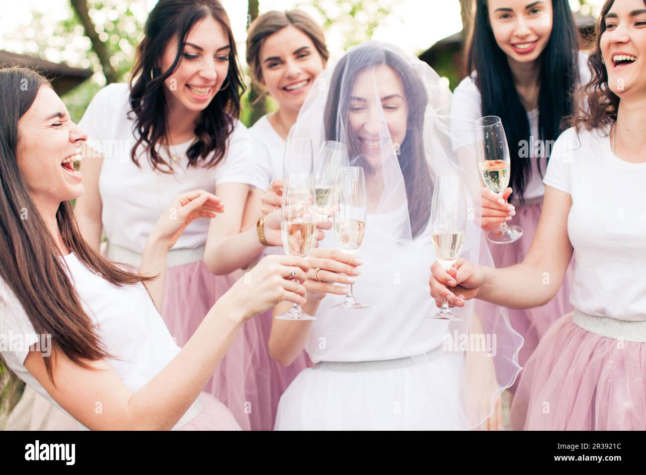 Beautiful bride and happy bridesmaids celebrating hen-party Stock Photo ... Beautiful bride and happy bridesmaids celebrating hen-party Stock Photo ...