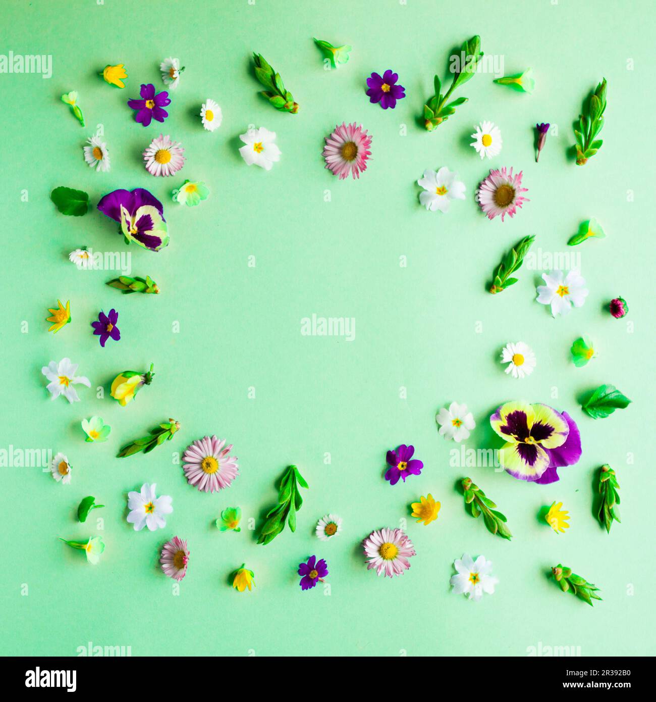 Spring flowers frame on the green background Stock Photo - Alamy