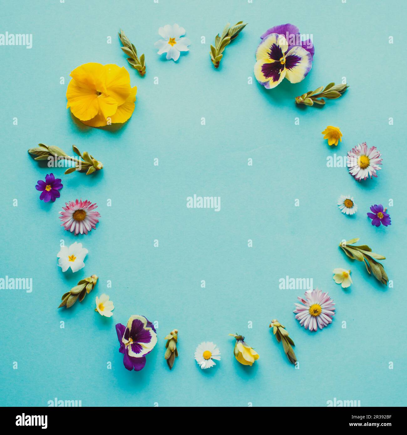 Congratulations circle hi-res stock photography and images - Alamy