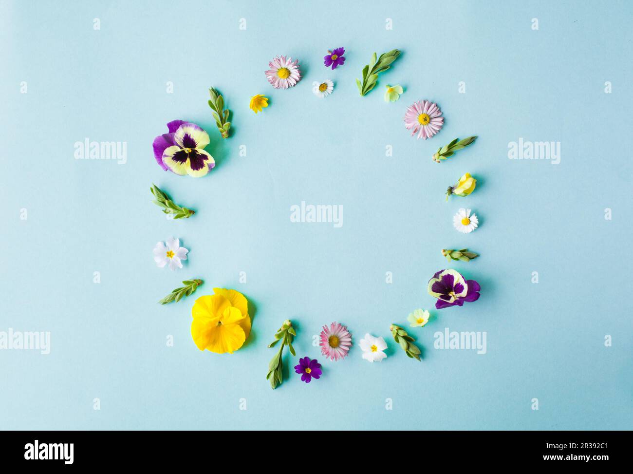 Congratulations circle hi-res stock photography and images - Alamy