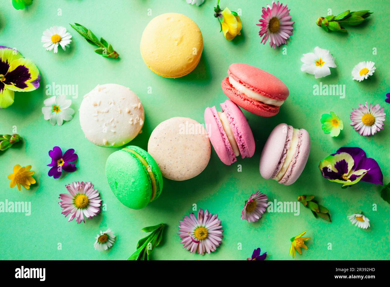 Colorful macaroons and flowers on the green background Stock Photo - Alamy