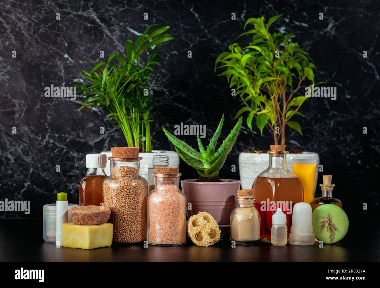 Organic cosmetics still life with aloe and plants Stock Photo - Alamy
