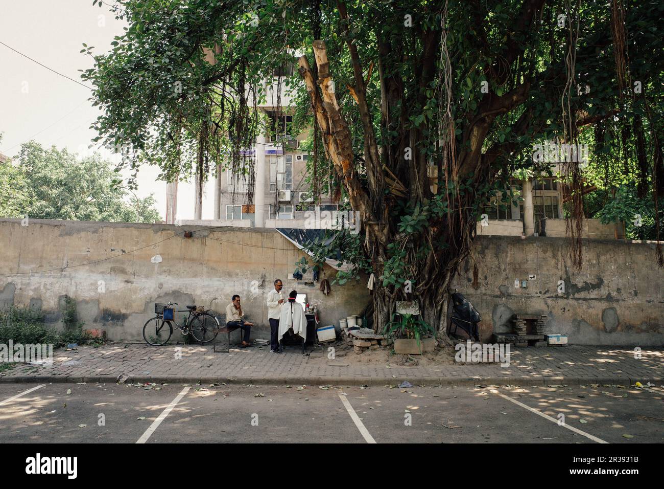 Neelam india hi-res stock photography and images - Alamy