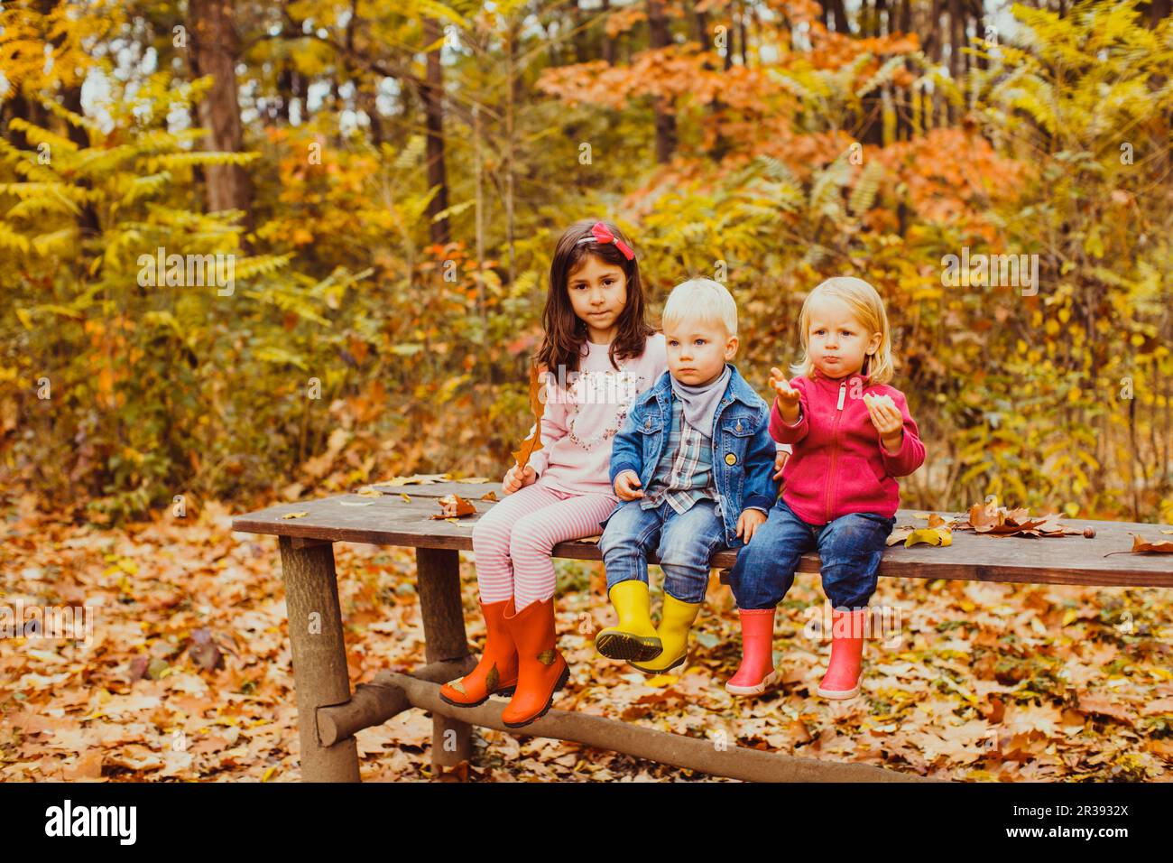 Family day in autumnal park, group of kids Stock Photo - Alamy