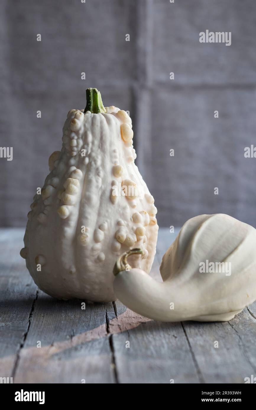 A pale warty squash and a bottle gourd Stock Photo - Alamy