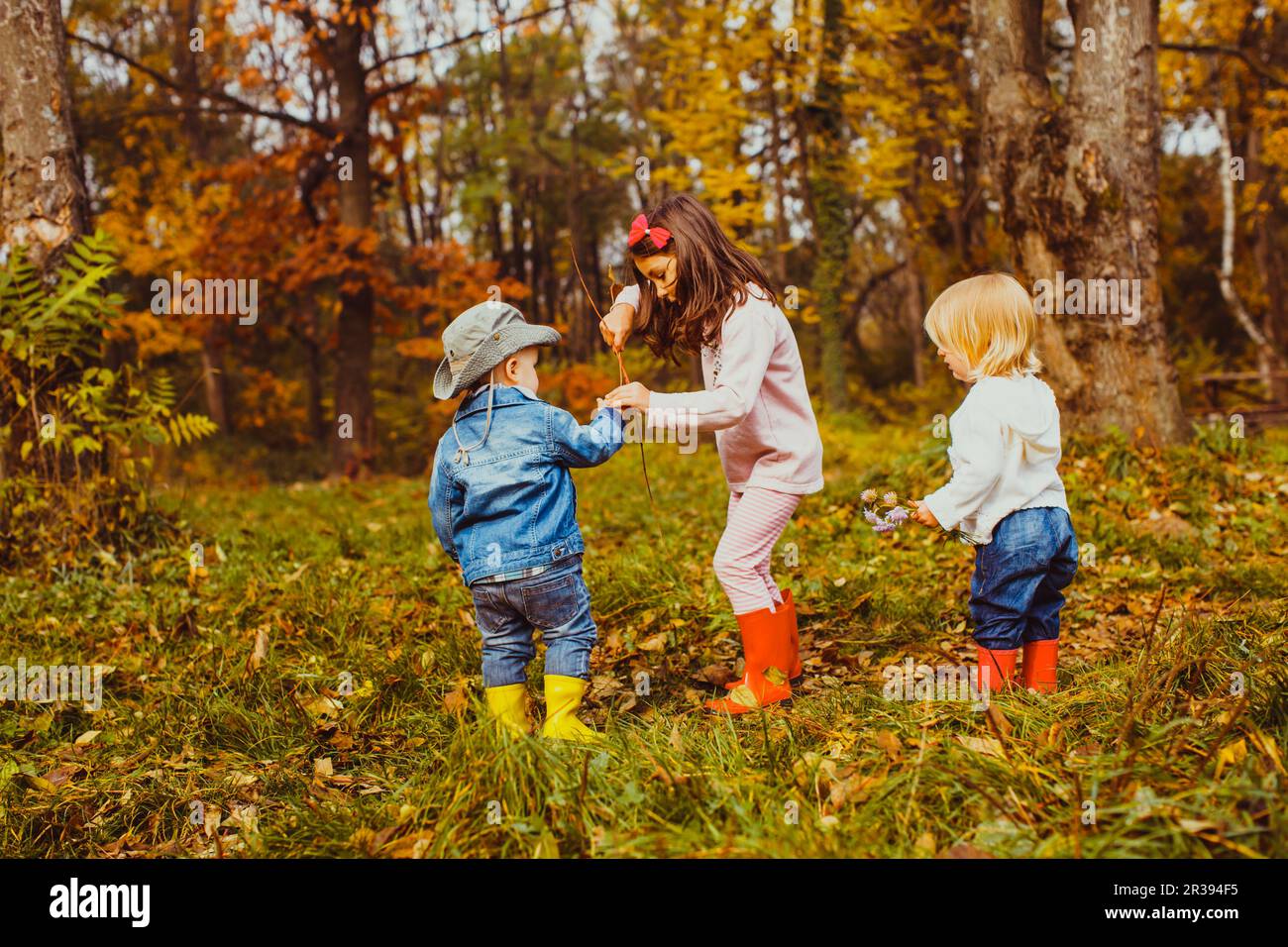 Little children playing in the park in autumn Stock Photo - Alamy