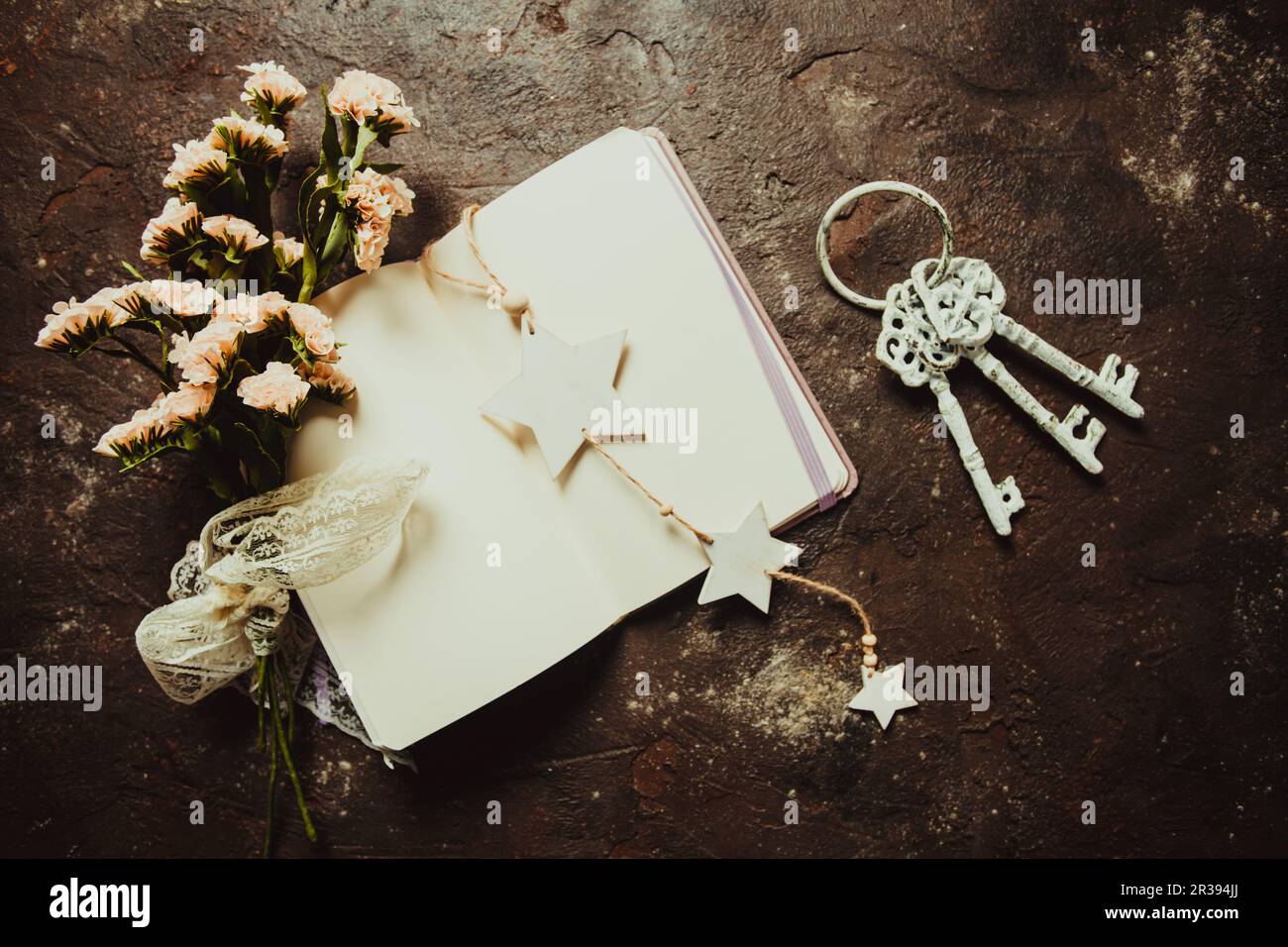 Vintage keys, ribbon and bookmark. Copy space for memories and statice ...
