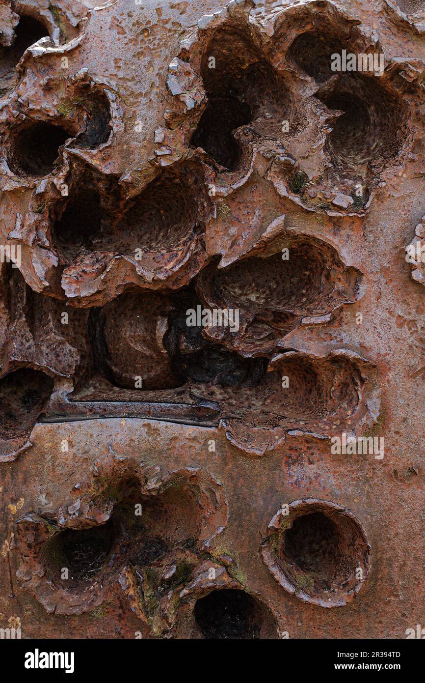 Damaged machine gun turret filled with shell shot holes. Second world ...