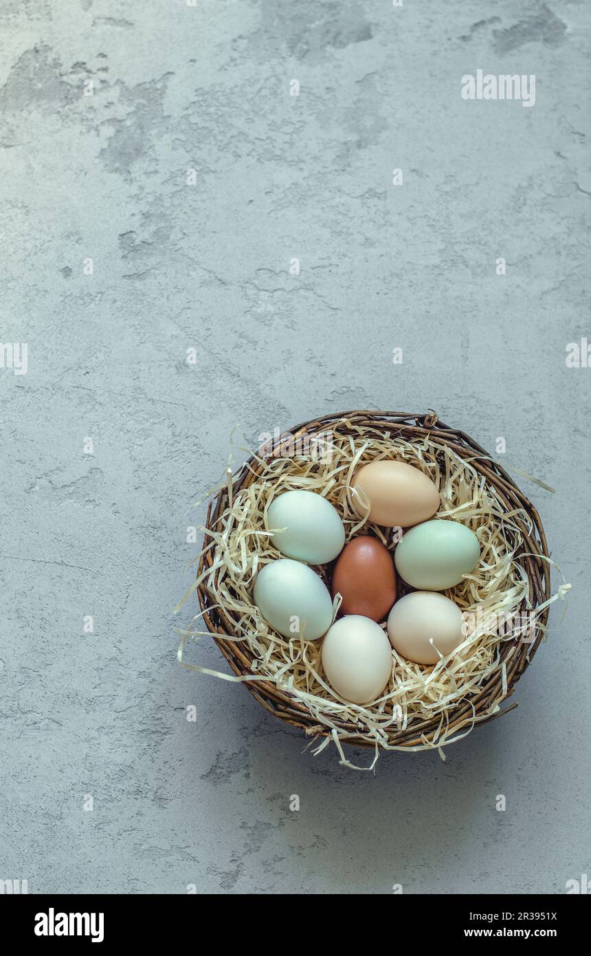 Different coloured eggs in a nest Stock Photo - Alamy
