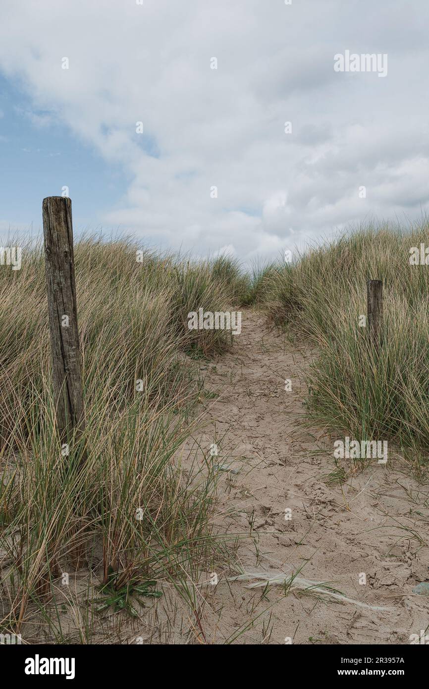Beautiful path way through sand dunes with clooudy sky background ...