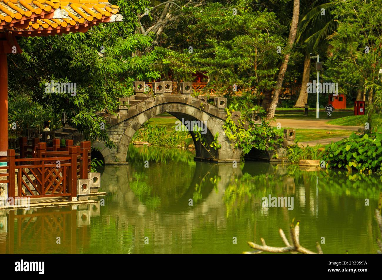 Hainan island park hi-res stock photography and images - Alamy