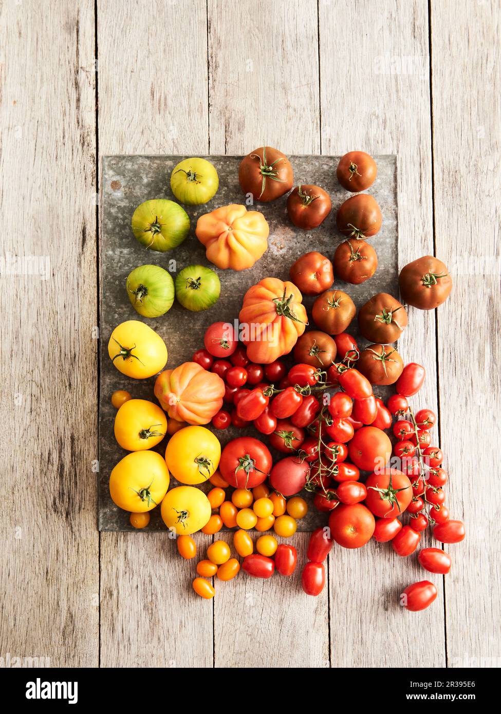 Selection tomatoes varieties hi-res stock photography and images - Alamy
