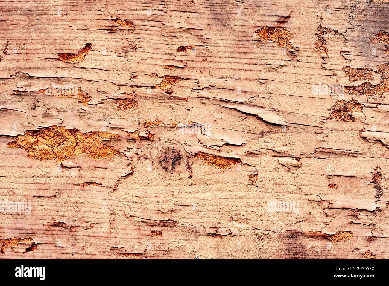 Texture, wood, wall, it can be used as a background. Wooden texture ...
