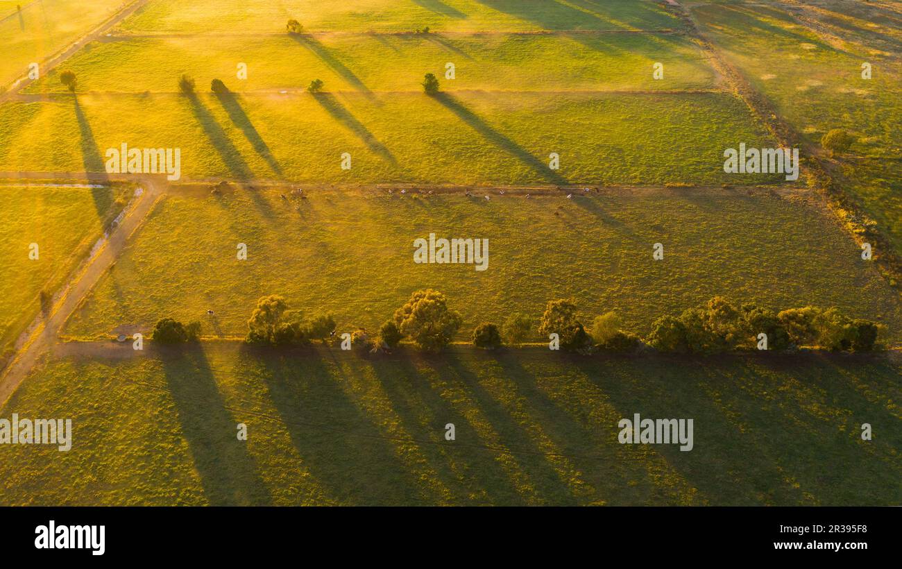Australian green farms hi-res stock photography and images - Alamy