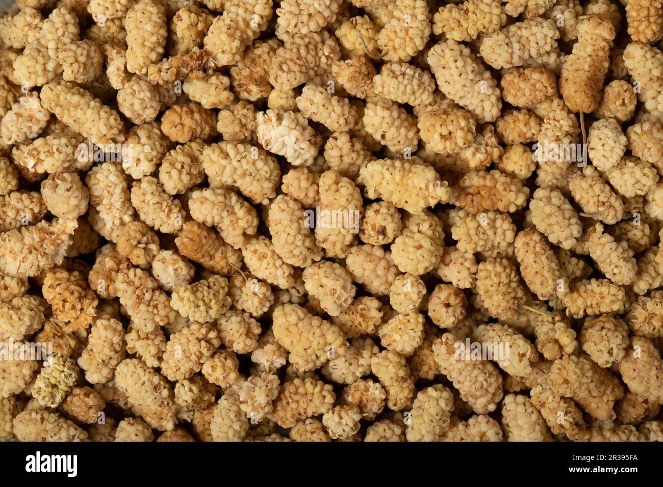 Dried mulberry. Sun-dried dried mulberry closeup food background. Top ...