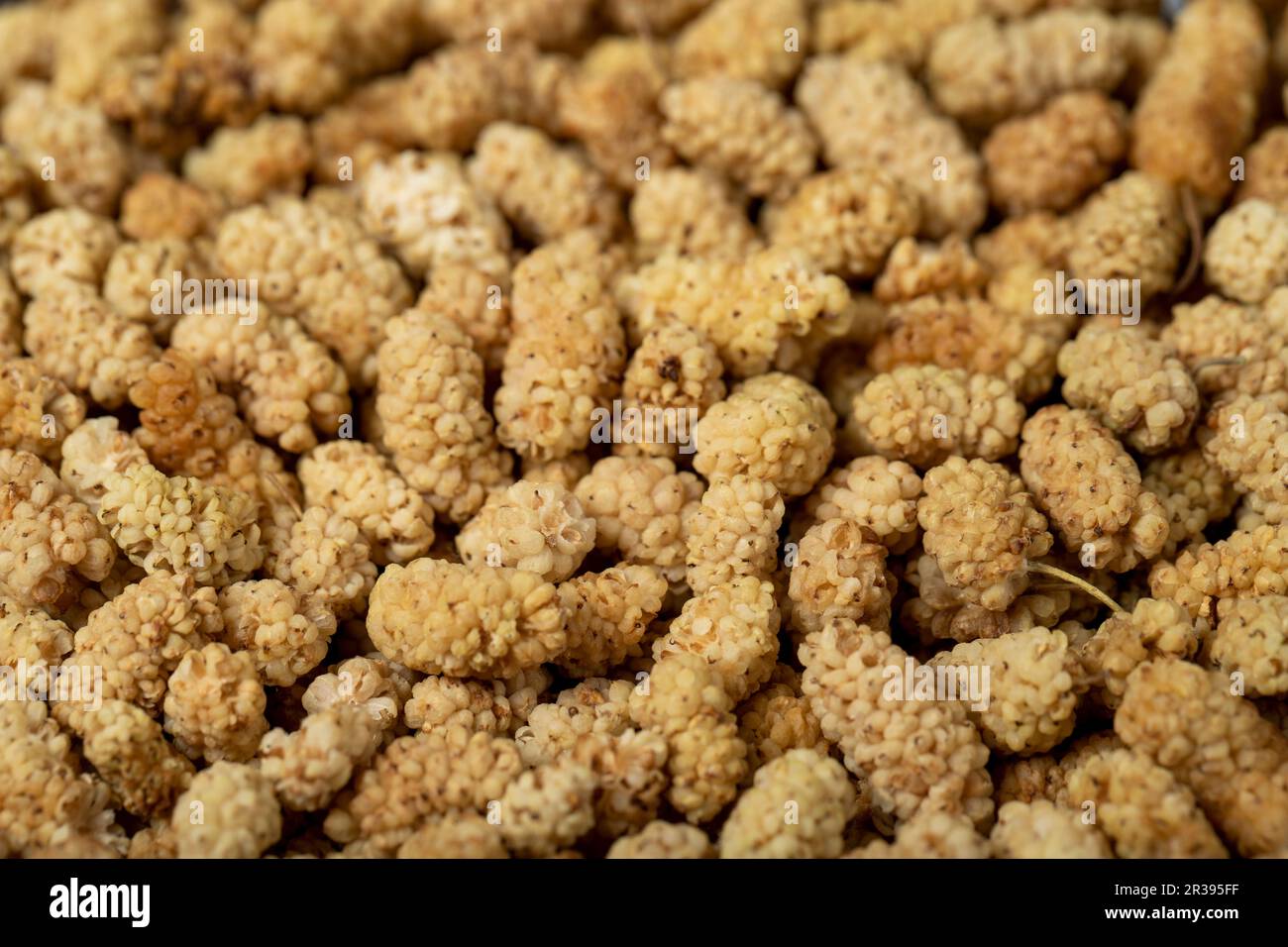 Dut background hi-res stock photography and images - Alamy