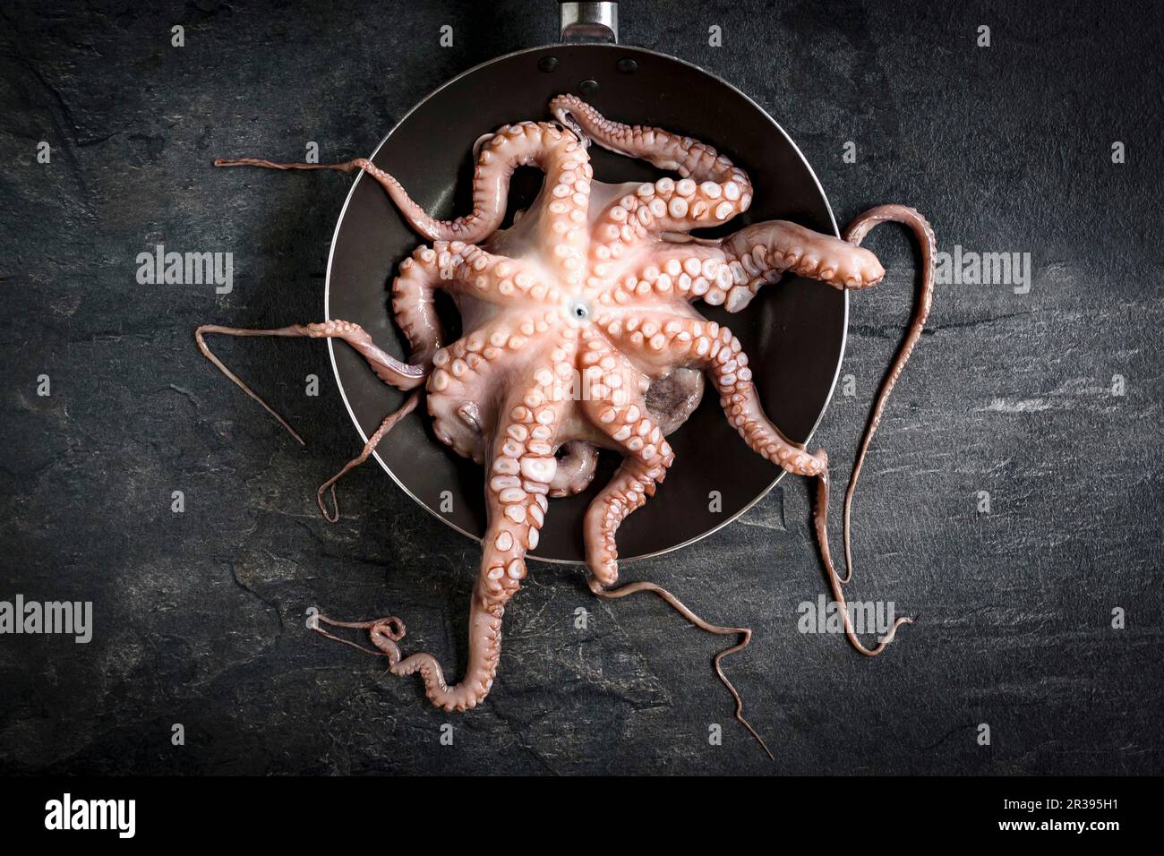 Raw and cleaned octopus ready for preparing Stock Photo - Alamy