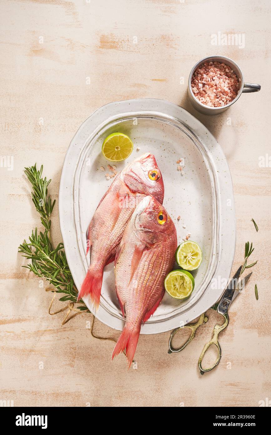 Red snapper photo hi-res stock photography and images - Alamy