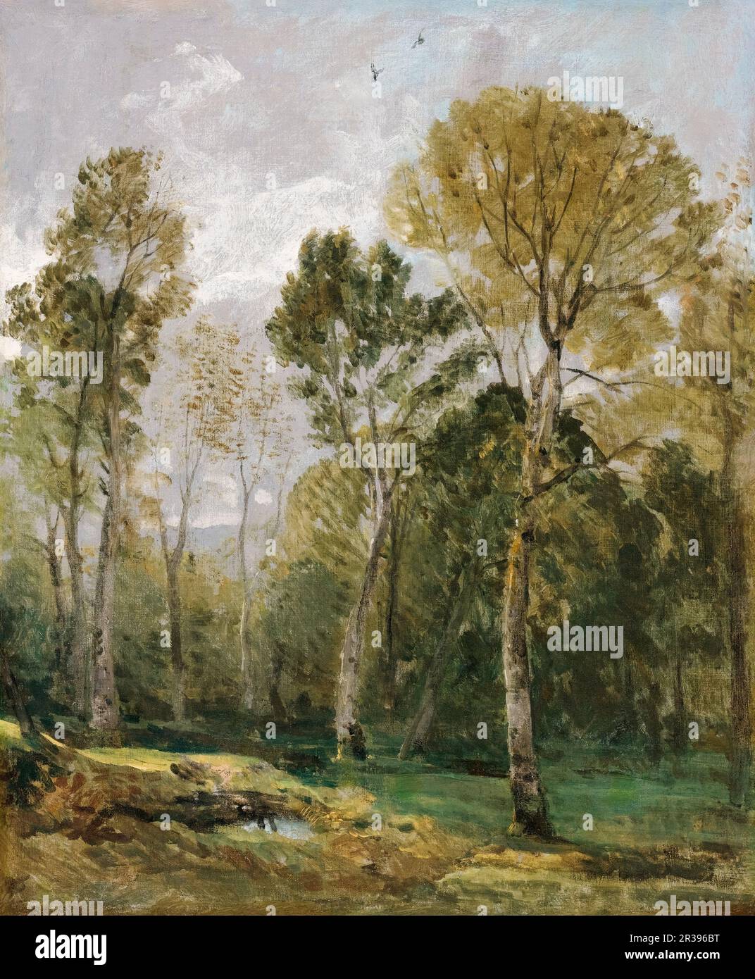 John Constable, View Of A Copse, landscape painting before 1837 Stock ...