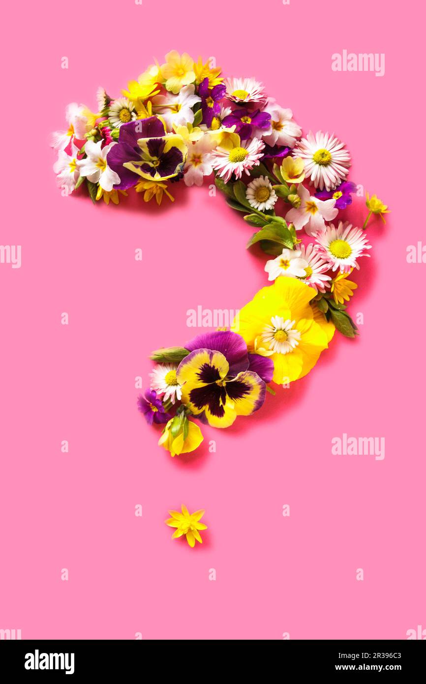 The question mark of wild flowers on the pink Stock Photo - Alamy