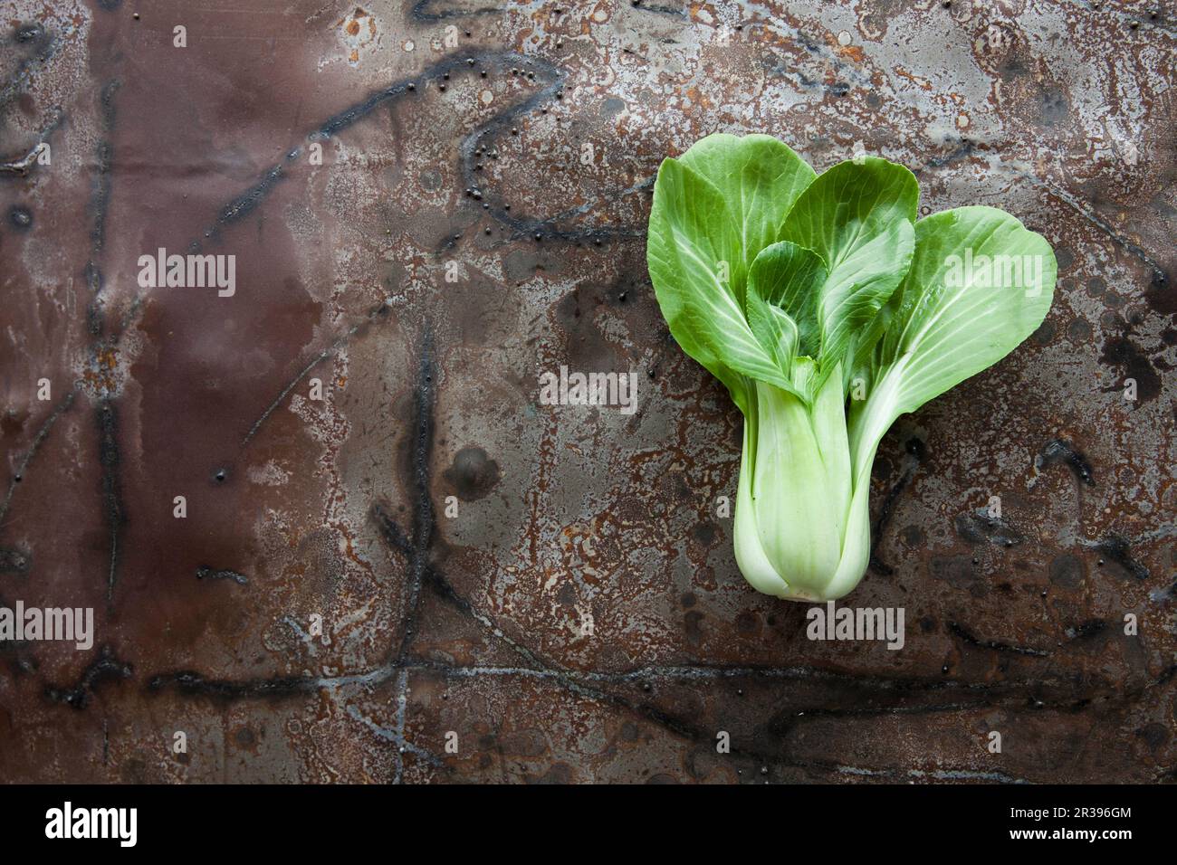 Paksoi hi-res stock photography and images - Alamy