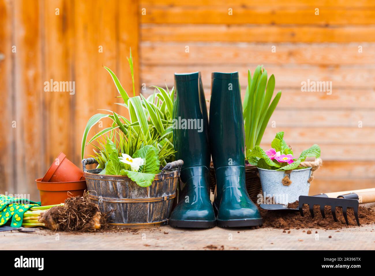 Gardening tools and flowers on the terrace Stock Photo - Alamy