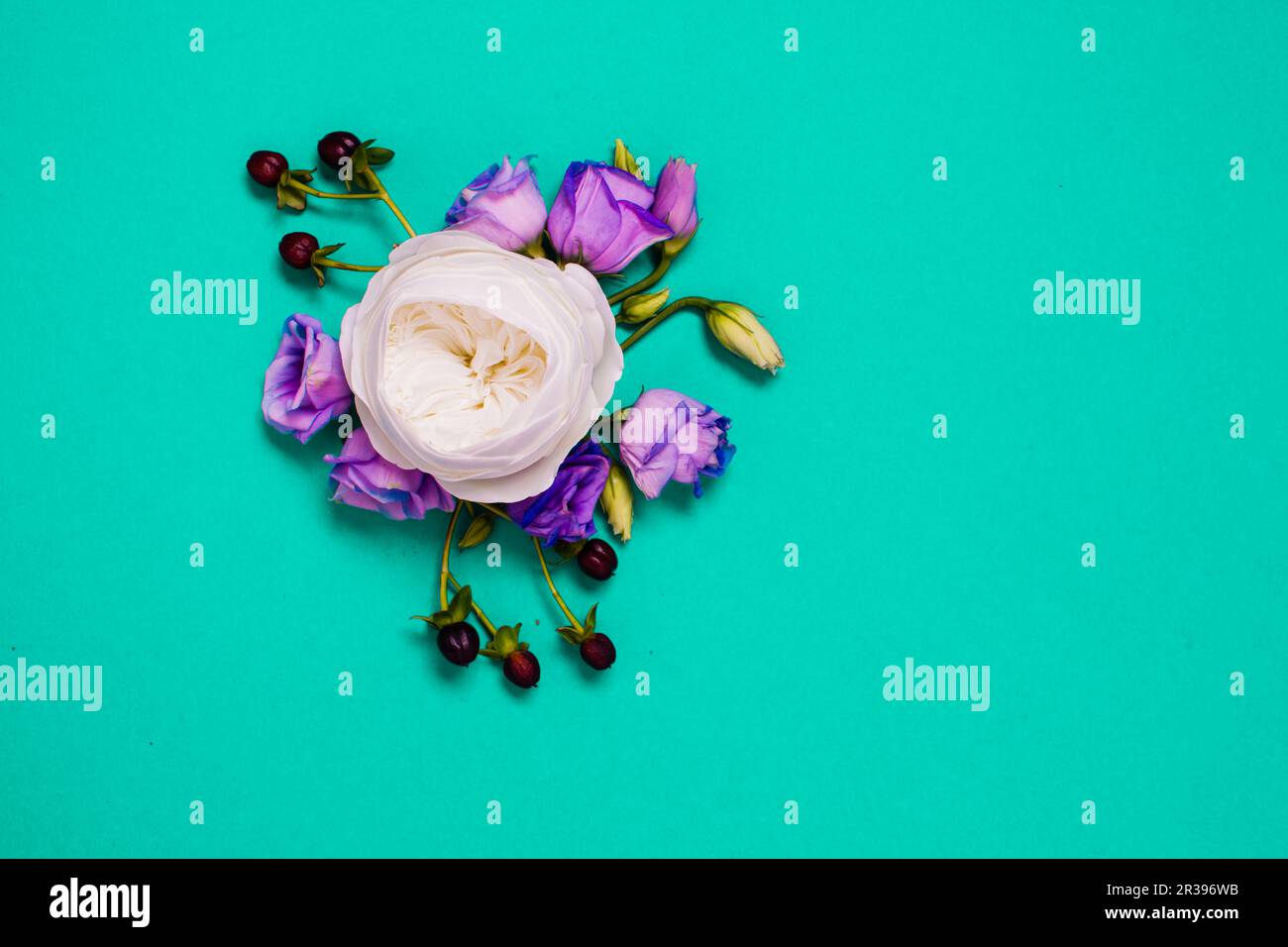 Flat floral hi-res stock photography and images - Alamy