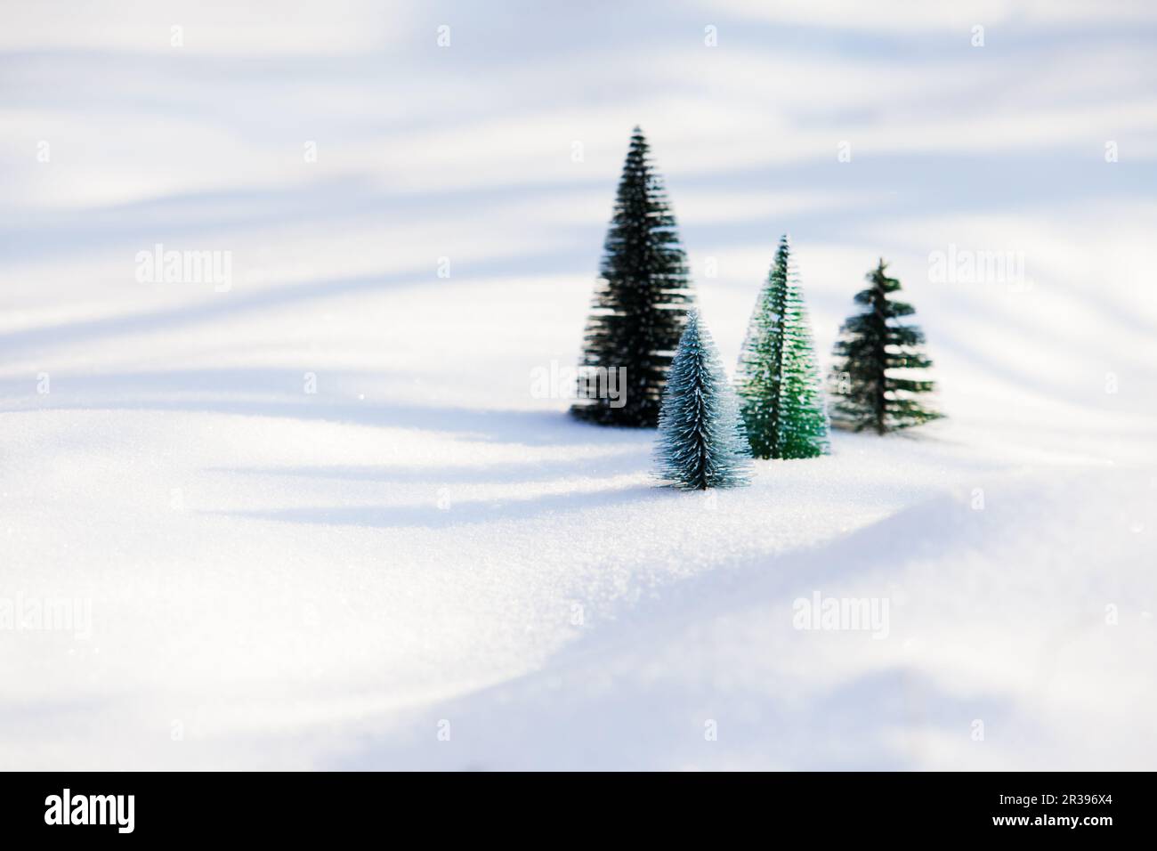 Little christmas trees on background hi-res stock photography and ...