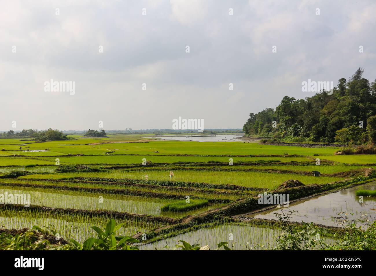 My hainan magazine hi-res stock photography and images - Alamy