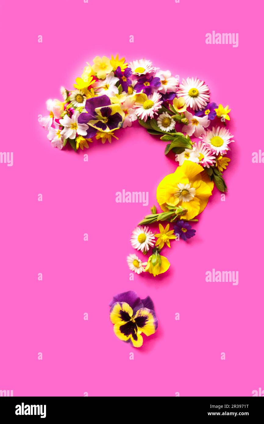 The question mark of wild flowers on the pink Stock Photo - Alamy