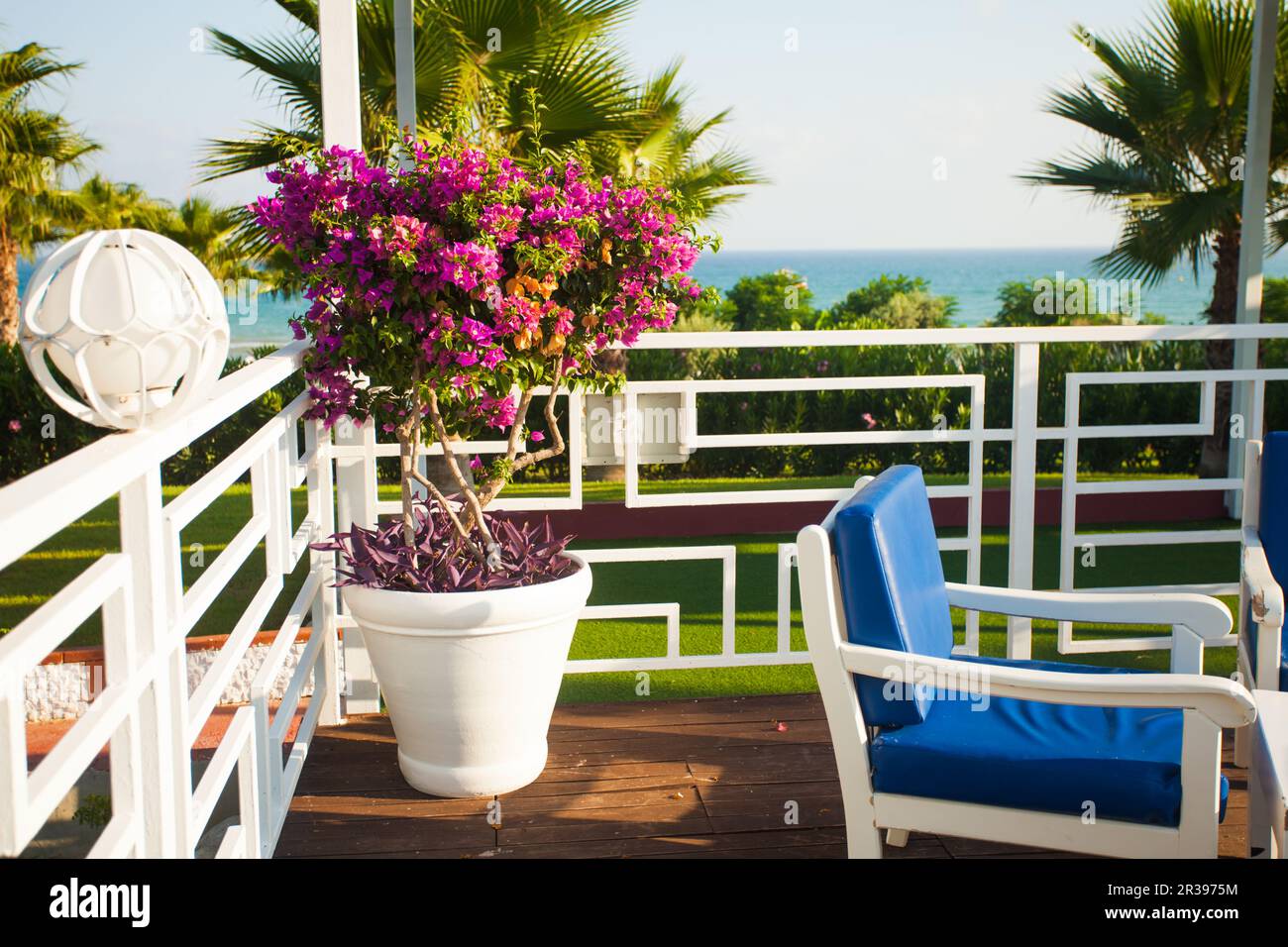 Vivid view hi-res stock photography and images - Alamy