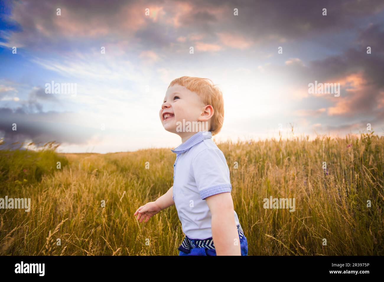 Little kid boy running in field. Boy walking at the countryside Stock ...