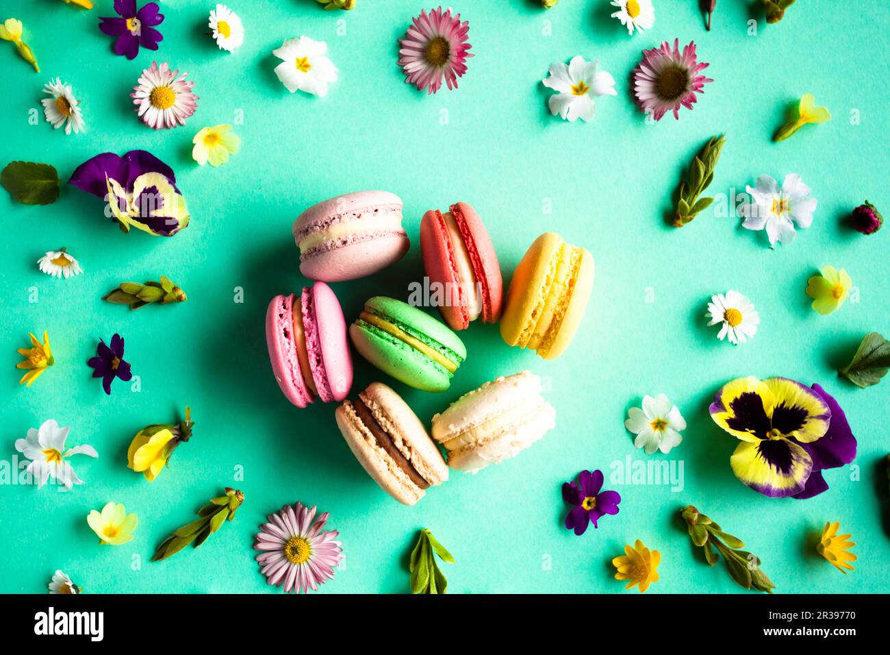 Colorful macaroons and flowers top view on blue Stock Photo - Alamy